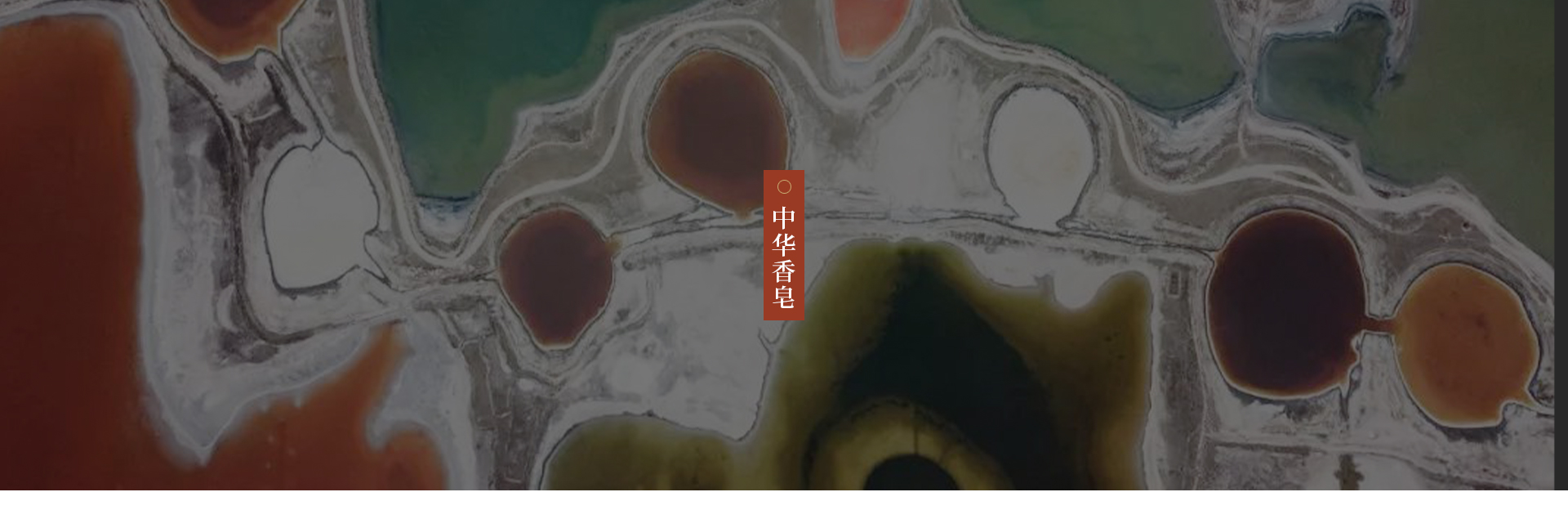 中华香皂官网 ZHONGHUA SOAP